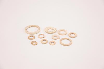 Shell rings - Te Whare Taonga o Waikato Museum & Gallery