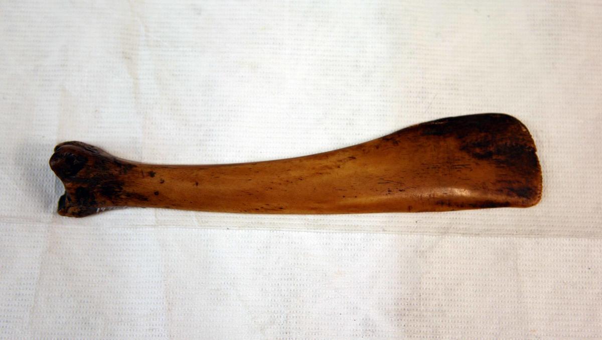 Pig bone spoon - Te Whare Taonga o Waikato Museum & Gallery