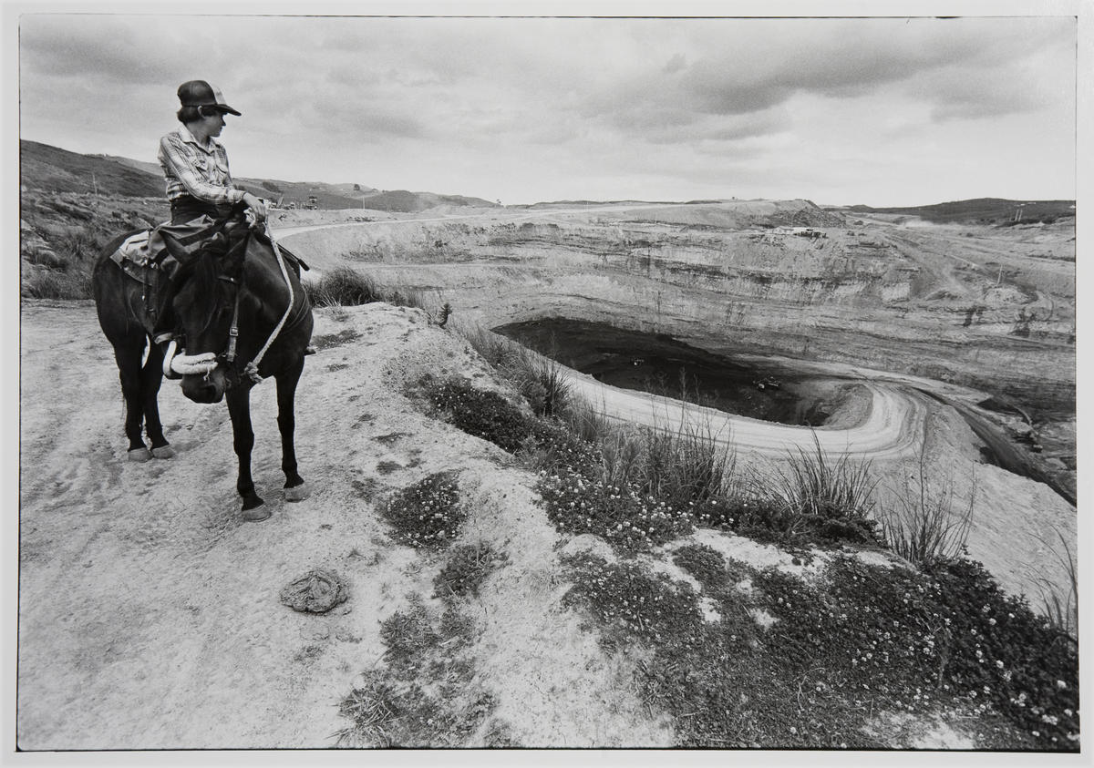 Larry Middleton and His Horse Chicken: Maori Farm Opencast Mine ...