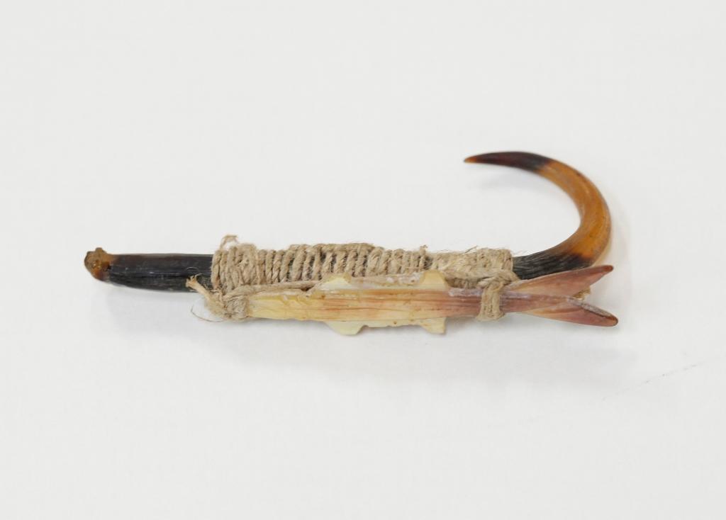 Hook - Te Whare Taonga o Waikato Museum & Gallery