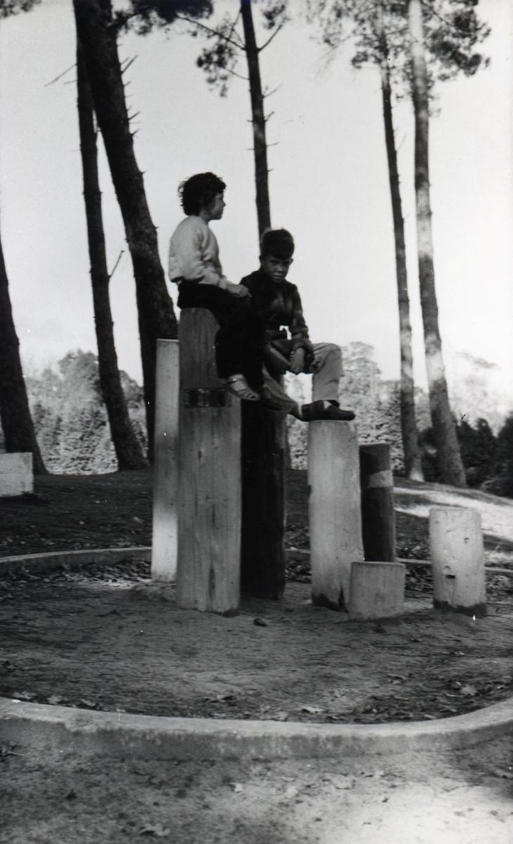 Photograph – Hamilton Lake playground - Waikato Museum