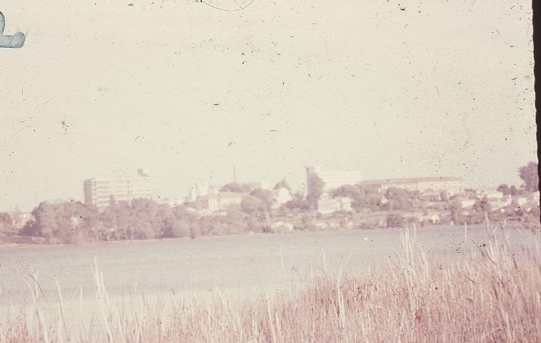 Slide - Hamilton Lake - Waikato Museum